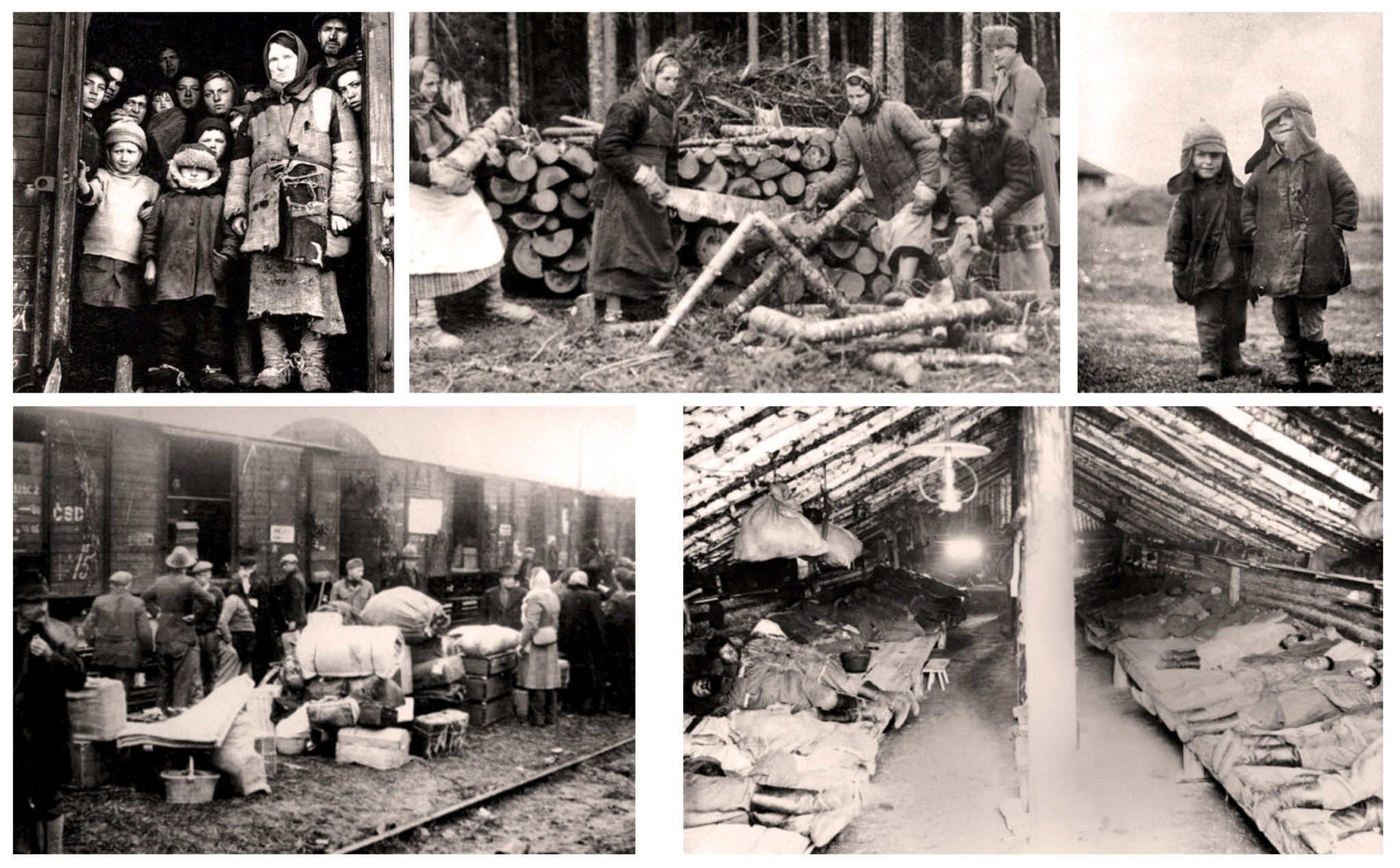 81. rocznica deportacji Polaków na Sybir – CPHS