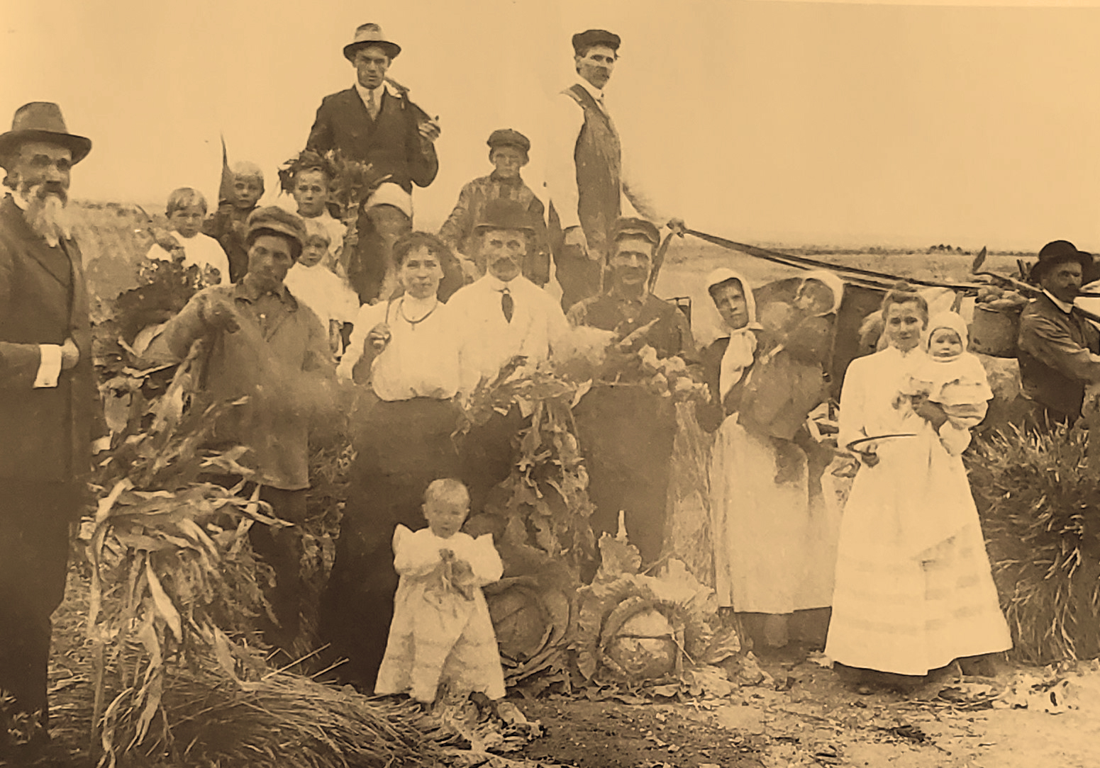 Polish Immigration to Alberta before the Second World War – CPHS